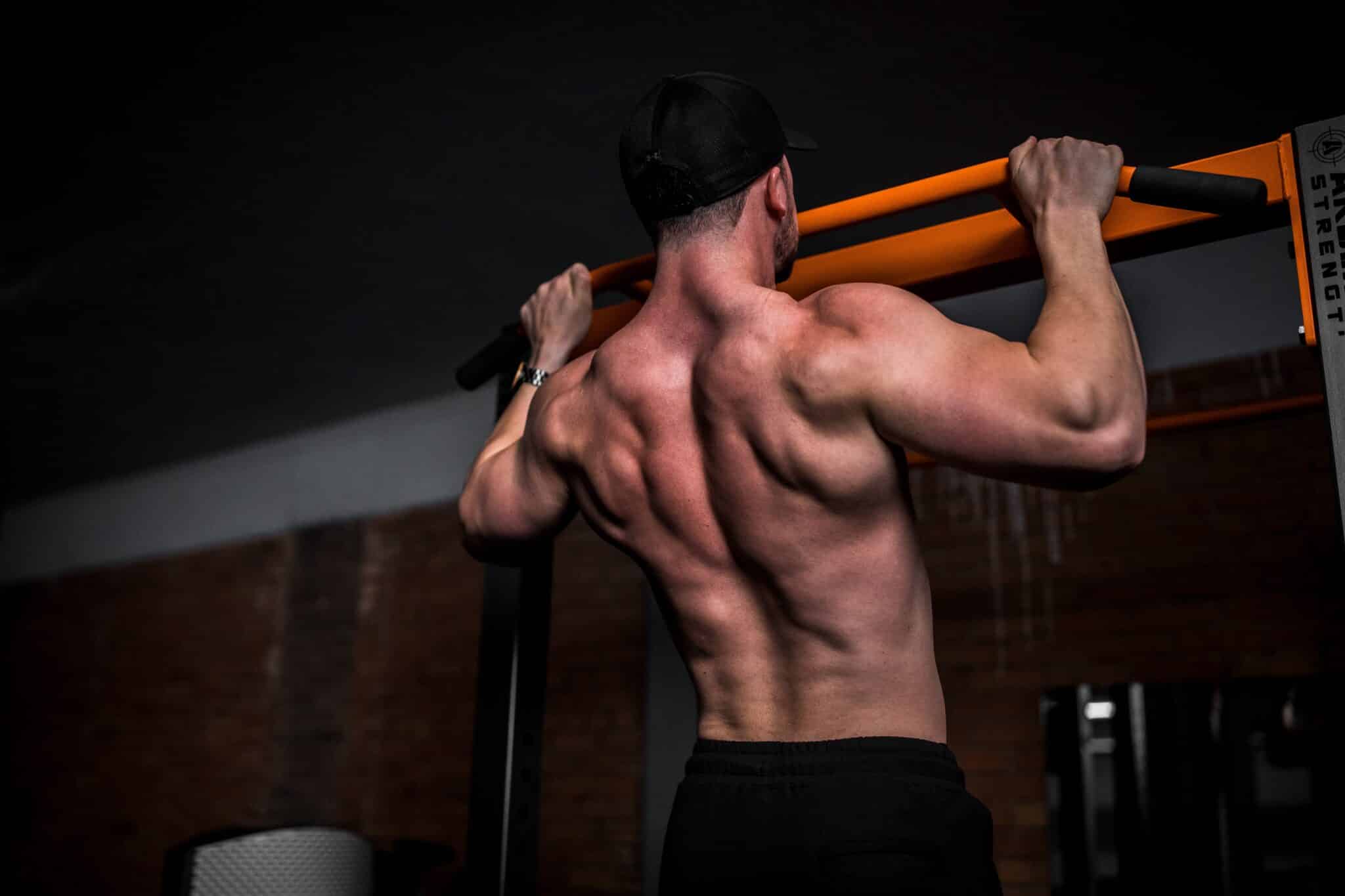 Body Row Exercises For A Strong And Toned Upper Body