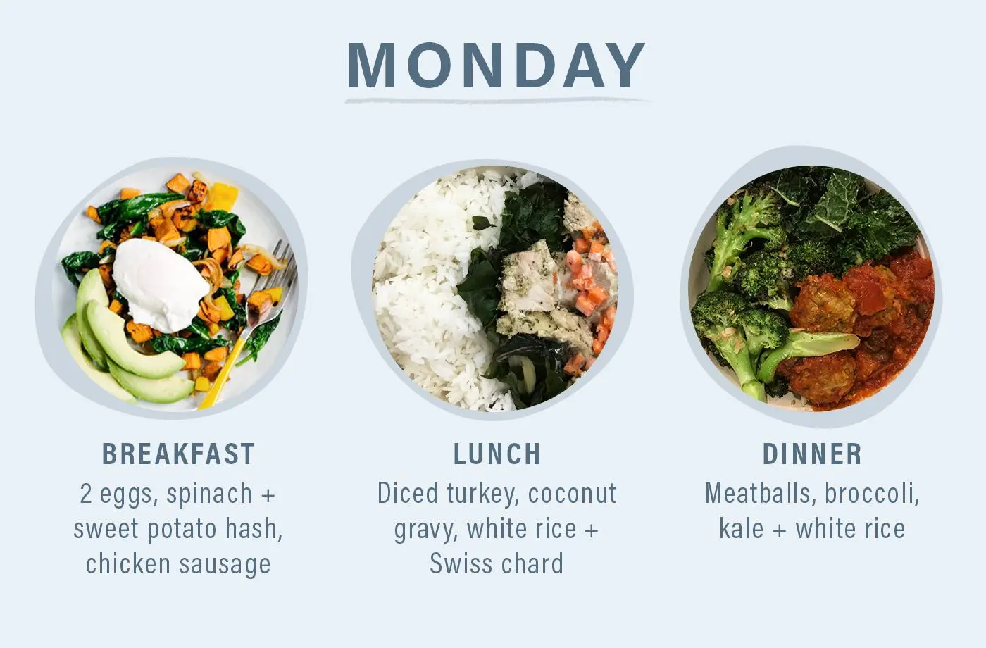 The Complete CrossFit Diet Plan: What To Eat To Fuel WODs And Recover ...